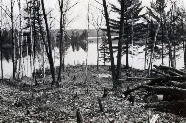 The History of Kandalore | Kandalore